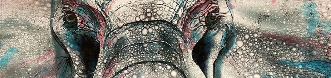 Exhibitions | What's On | The Station