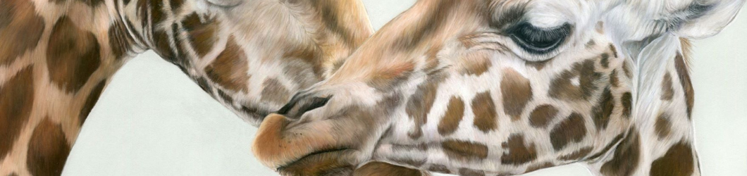 Exhibitions | What's On | The Station