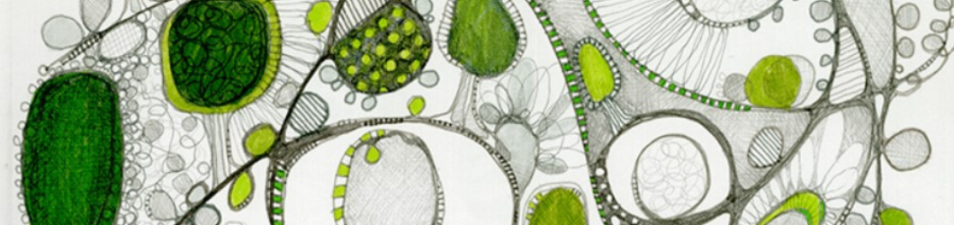 Exhibitions | What's On | The Station