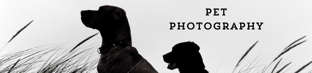 Exhibitions | What's On | The Station