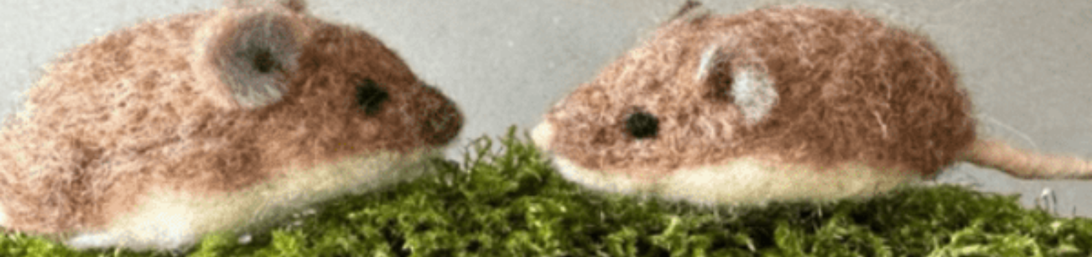 Exhibitions | What's On | The Station