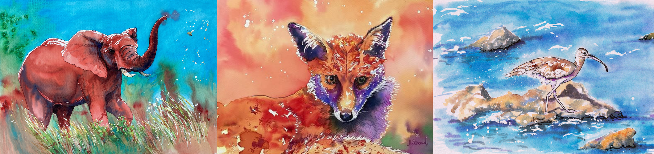 Exhibitions | What's On | The Station